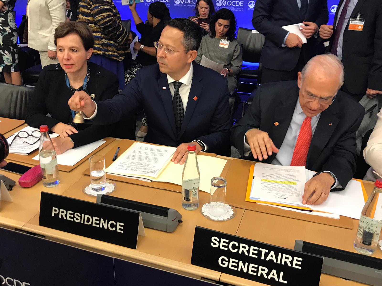 Slovakia to Preside over OECD Council Meeting for First Time | Ministry ...